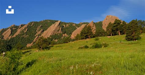 낮에는 푸른 하늘 아래 갈색 산 근처의 푸른 잔디밭 사진 Unsplash의 무료 식물 이미지