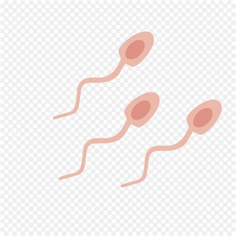 卡通精子PNG下载PNG图片素材下载 图片编号yvveorkj 免抠素材网