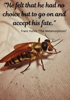 Classroom Posters Significant Quotes From Franz Kafka S The Metamorphosis
