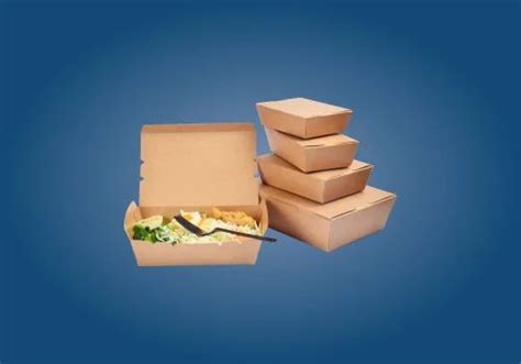 Meal Packaging Box At Rs 45 Cardboard Food Packing Box In Vasai Id