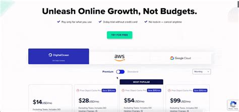 how your hosting provider impacts your site s performance