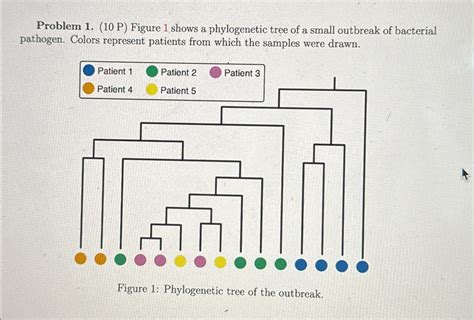 Solved Problem 1 10 ﻿p ﻿figure 1 ﻿shows A Phylogenetic