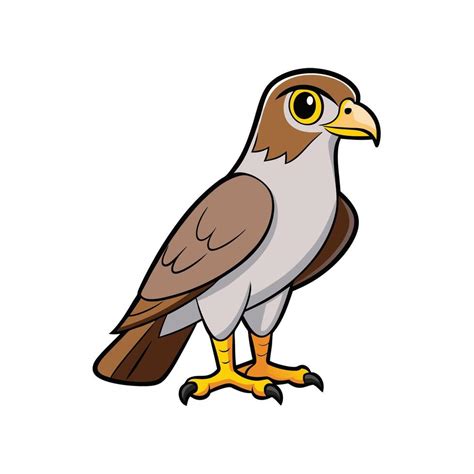 Cartoon Falcon Illustration With Clear Outlines And Bright Colors