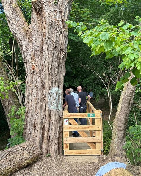 Ringtv Ringtv Added A New Photo