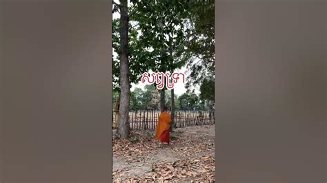 ស្មូត ដំរីឆទ្ទន្ត Youtube