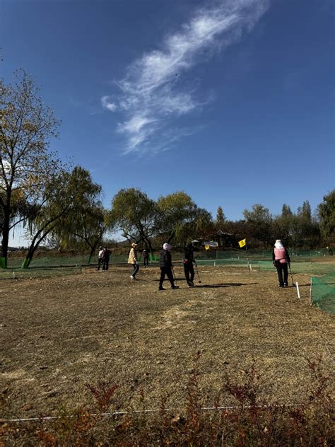 초보자를 위한 파크 골프 완벽 가이드 쉽게 배우고 즐기는 방법 공개