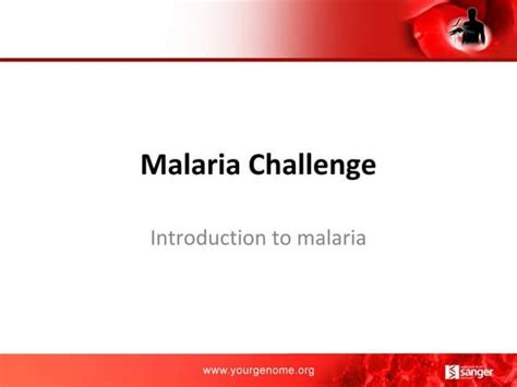 Malaria Pps Infectious Diseases Diseases And Conditions