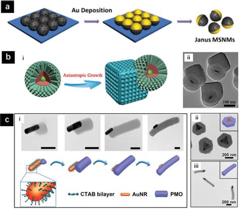 A Fabrication Of The Fuel‐free Nir‐driven Janus Mesoporous Silica Np