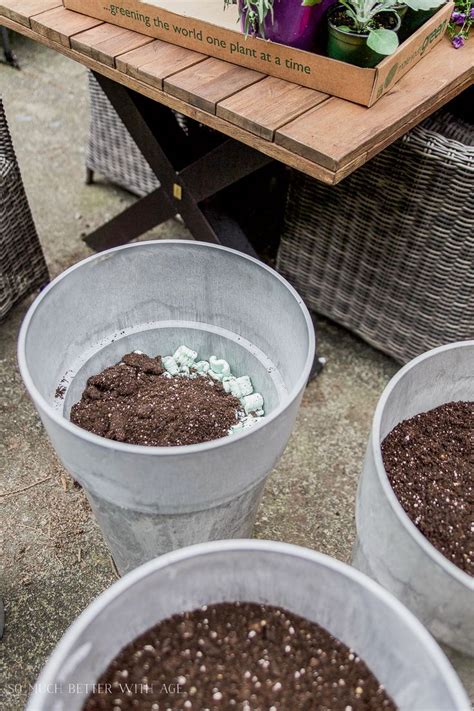 The Best Tip For Filling Large Outdoor Planters Large Outdoor