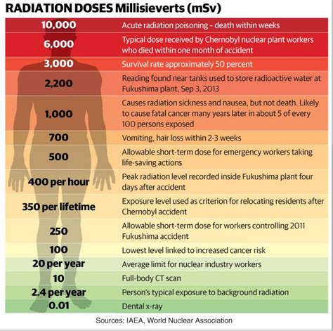 Is There Life After A Nuclear Blast Survivopedia