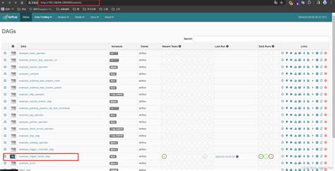 Vulhub Apache Airflow 示例dag中的命令注入（cve 2020 11978）复现 （shell反弹）apache