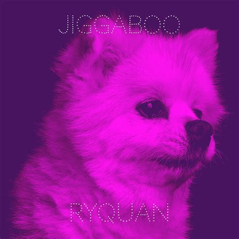 ‎jiggaboo Single Album By Ryquan Apple Music All For One