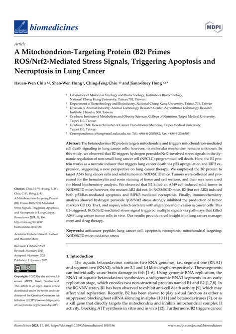 Pdf A Mitochondrion Targeting Protein B2 Primes Ros Nrf2 Mediated Stress Signals Triggering