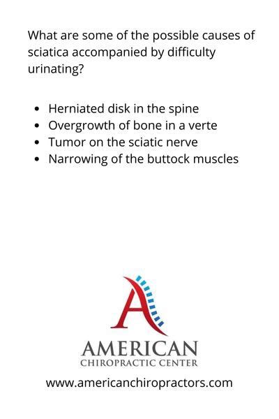 Can Sciatica Cause Problems Urinating American Chiropractors