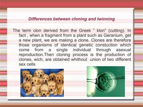 Cloning Ppt