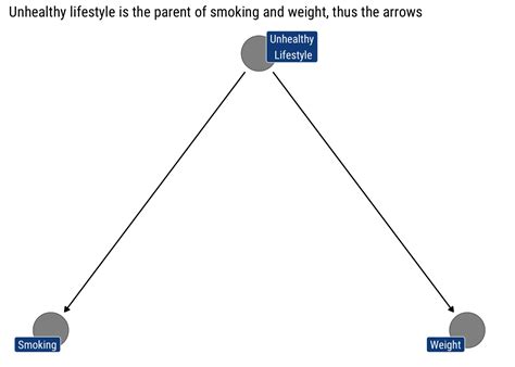 David Salazar Causality Bayesian Networks And Probability Distributions