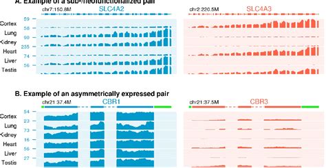 Figure 2 From Long Term Survival Of Duplicate Genes Despite Absence Of Subfunctionalized