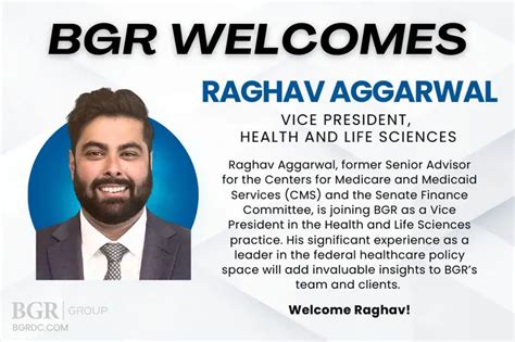 Raghav Aggarwal Health And Life Sciences Practice Bgr Group