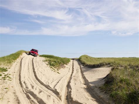 Nathan Coe Nostalgia Exhibitions C And C Gallery