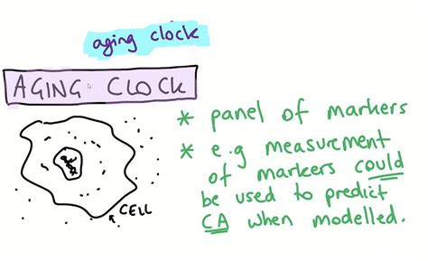 The Sheekey Science Show Aging Clocks