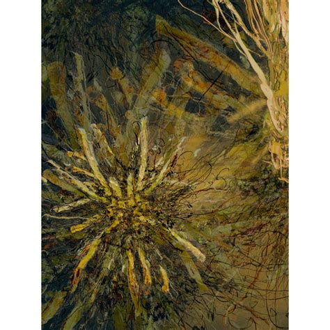 Organic Compositions Kristin Doner