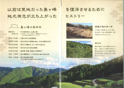 おためし500円 島ヶ峰そば 乾麺 200g 1袋 2人前 まんのう町島ヶ峰産蕎麦使用 岡坂商店うどん二番com
