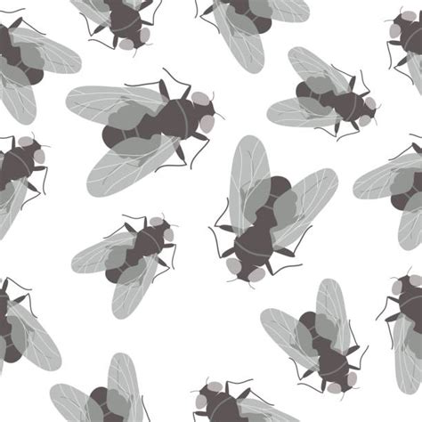 Swarm Of Flies Illustrations Royalty Free Vector Graphics And Clip Art
