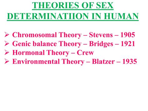 Sex Determination In Humans Pdf