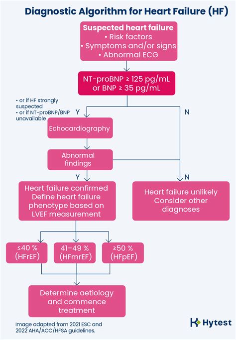 Building Reliable Nt‑probnp And Bnp Assays With Hytest Solutions