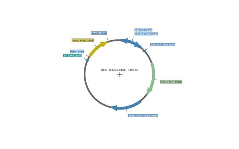 Addgene Pet23a Mubc9