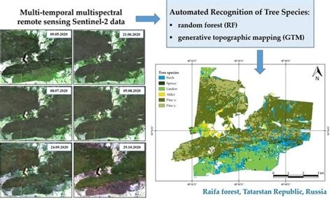 Automated Recognition Of Tree Species Composition Of Forest Communities Using Sentinel 2