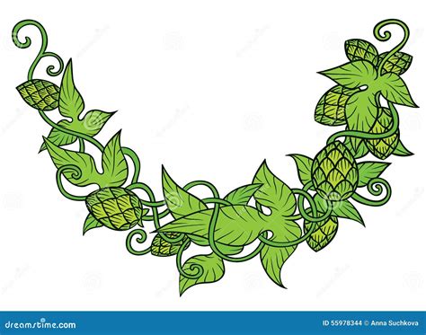 Hops Vector