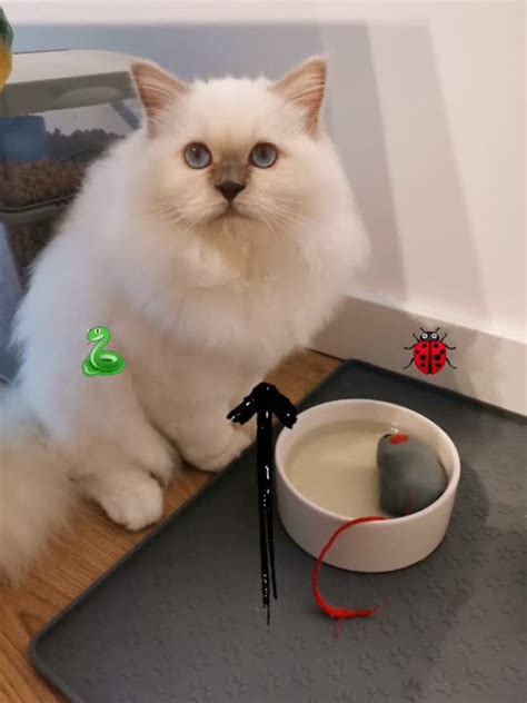 Alina S On Linkedin Frontend React Opentowork Wroclaw Poland