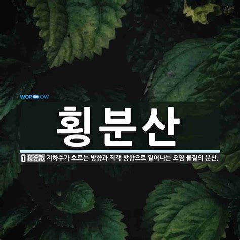 횡분산 뜻 지하수가 흐르는 방향과 직각 방향으로 일어나는 오염 물질의 분산