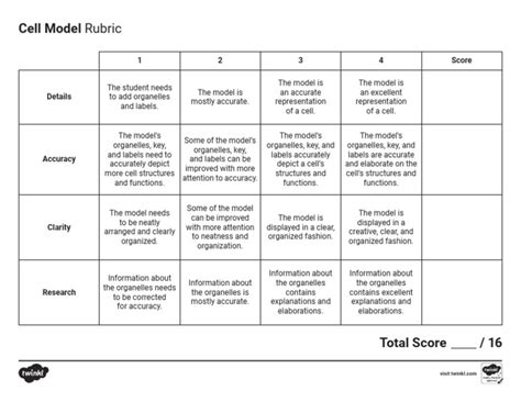 Rubric 3d Animal Cell Model Project Pdf Organelle