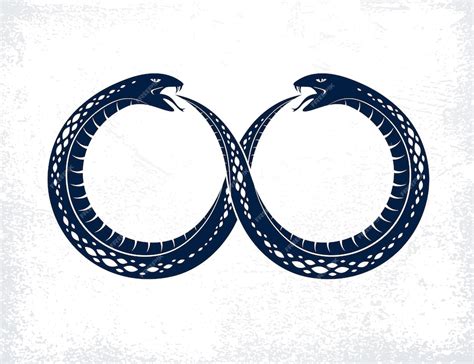 자신의 이야기를 먹는 뱀 무한대 상징 모양의 Uroboros 뱀 삶과 죽음의 끝없는 순환 Ouroboros 고대 상징 벡터