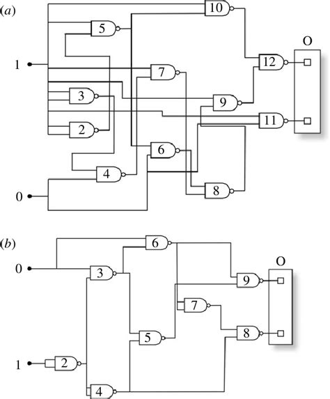 Examples Of Evolved Circuits Resulting From A Process Of Evolutionary Download Scientific