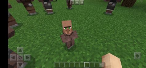Debug Stick In Bedrock Minecraft PE Mods Addons