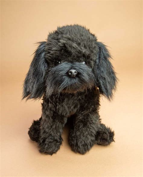 Black Cockapoo T Soft Toy Ts For Dog Lovers Send A Cuddly
