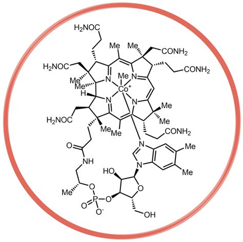 Cobalamin Structure