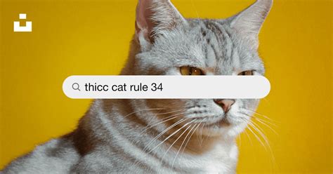 Thicc Cat Rule 34 Pictures Download Free Images On Unsplash