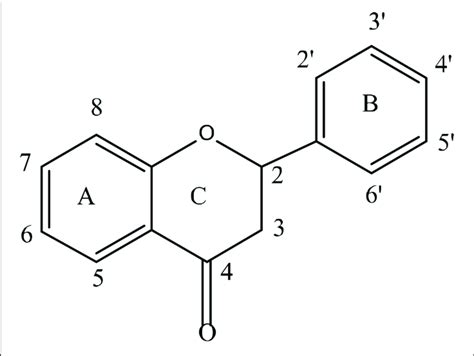 Flavonoids An Overview At Randy Llamas Blog