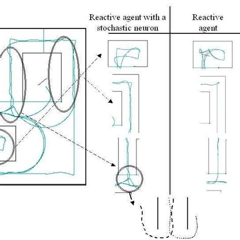 6 Left Path Of A Reactive Agent With A Stochastic Neuron Right