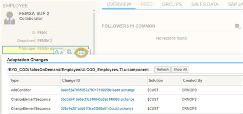 C4c Ui Extensibility Overview Sap Community