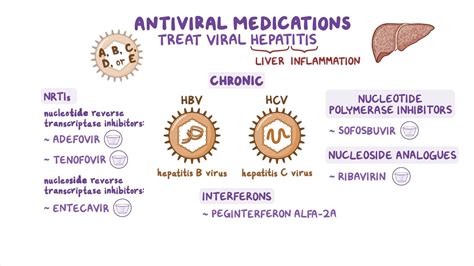 Antivirals For Hepatitis B And C Osmosis Video Library