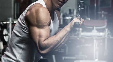 Adding Muscle Dos And Donts Bodybuilding Steroids Live