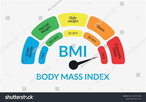 Body Mass Index Infographic Chart Colorful Stock Vector Royalty Free