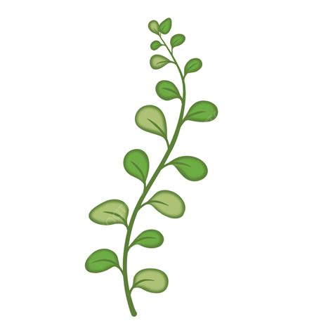 Small Leaf Clipart