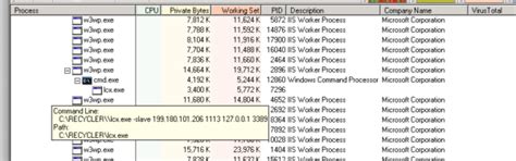 Microsoft IIS Web Server CMD Process Contributing To Website Reinfections