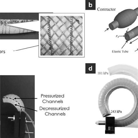 Common Actuation Approaches For Soft Robots A Shape Memory Alloy Download Scientific Diagram